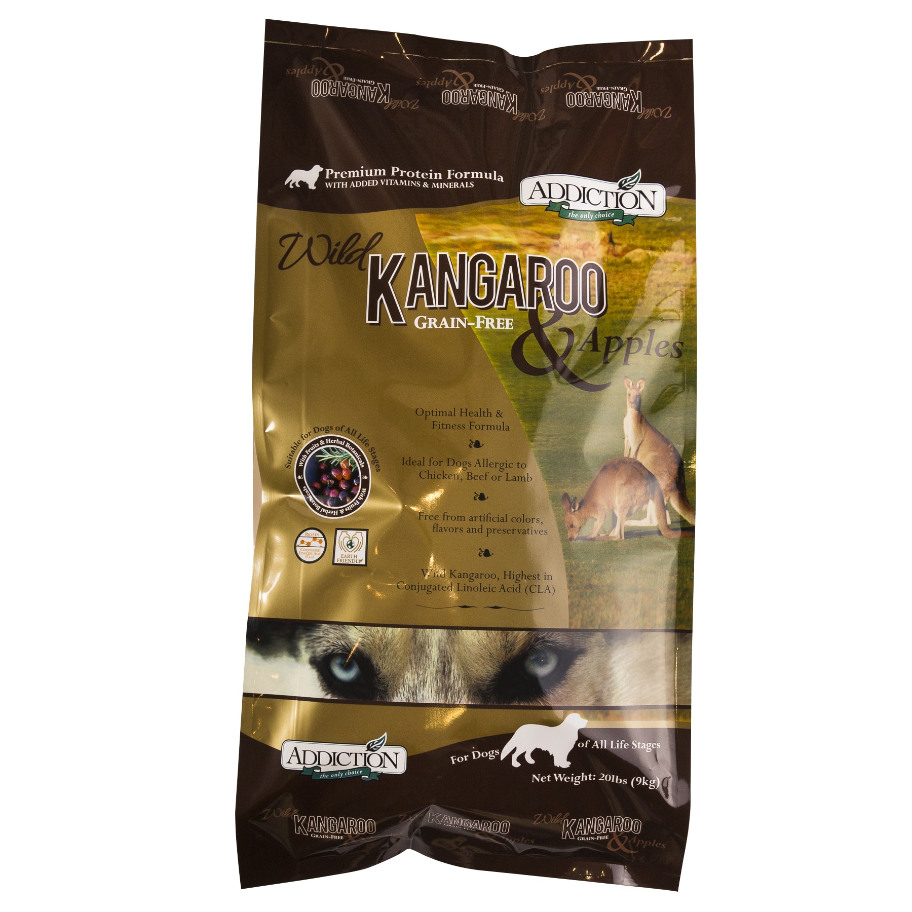 Is Kangaroo Right For Your Dog? | Addiction Pet