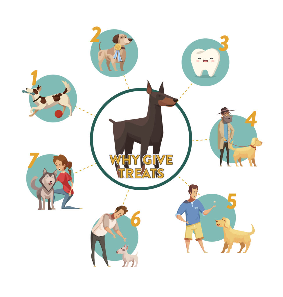 Why Give Treats to Your Pets | Addiction Pet