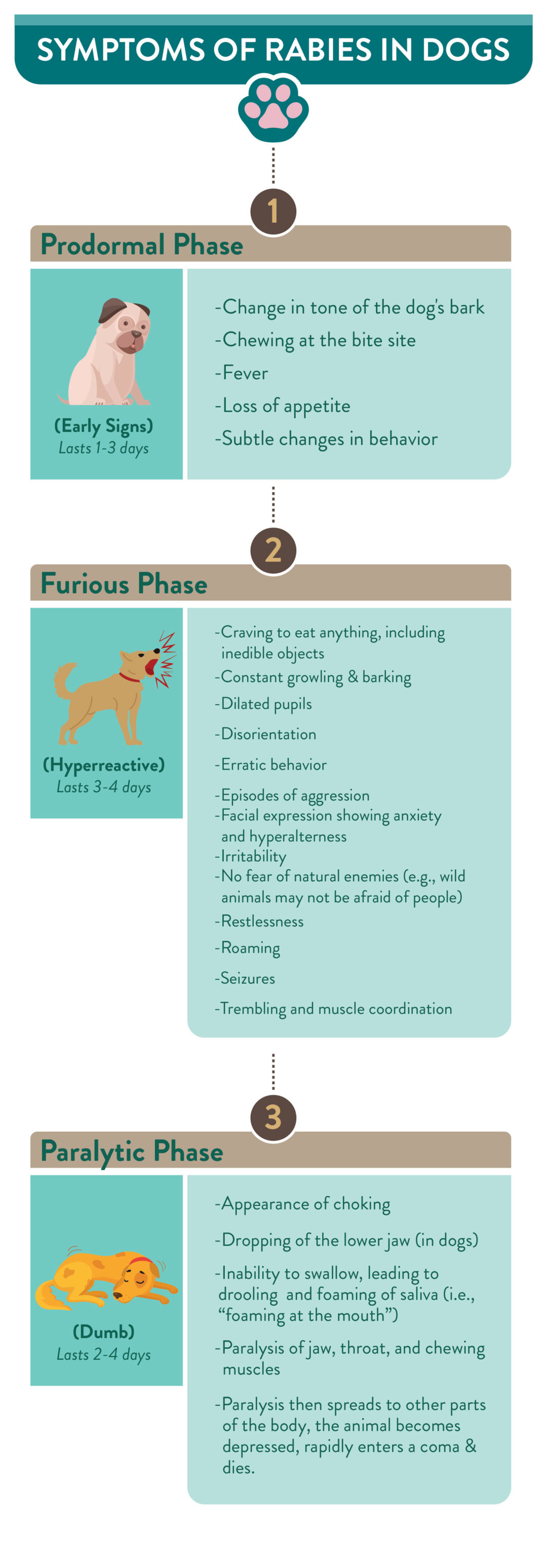 What are the Symptoms of Rabies? | Addiction Pet