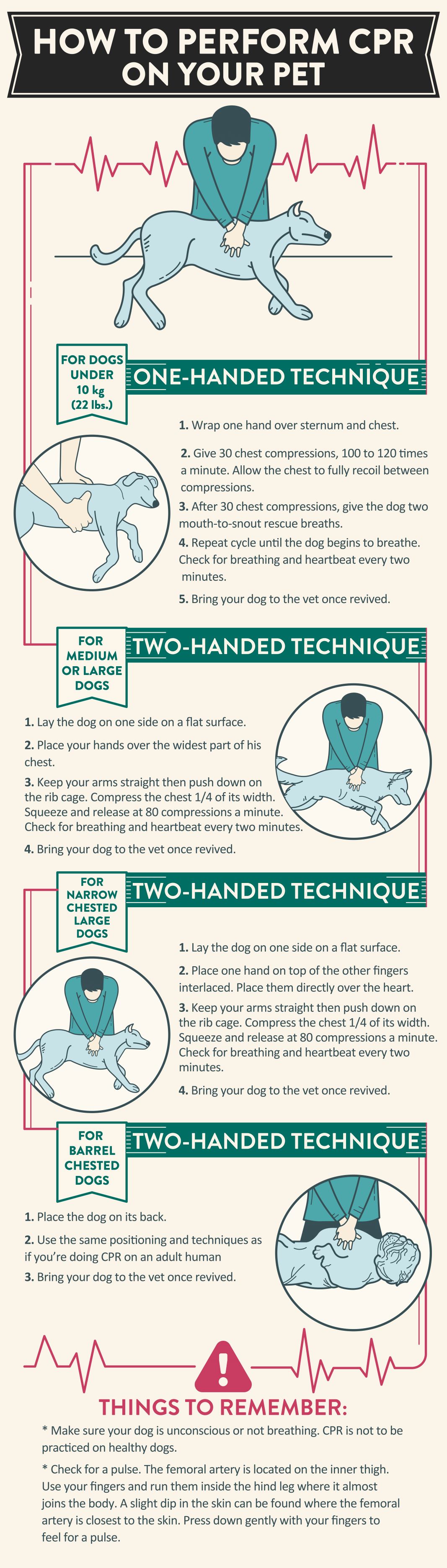 How to Perform CPR on Dogs | Addiction Pet