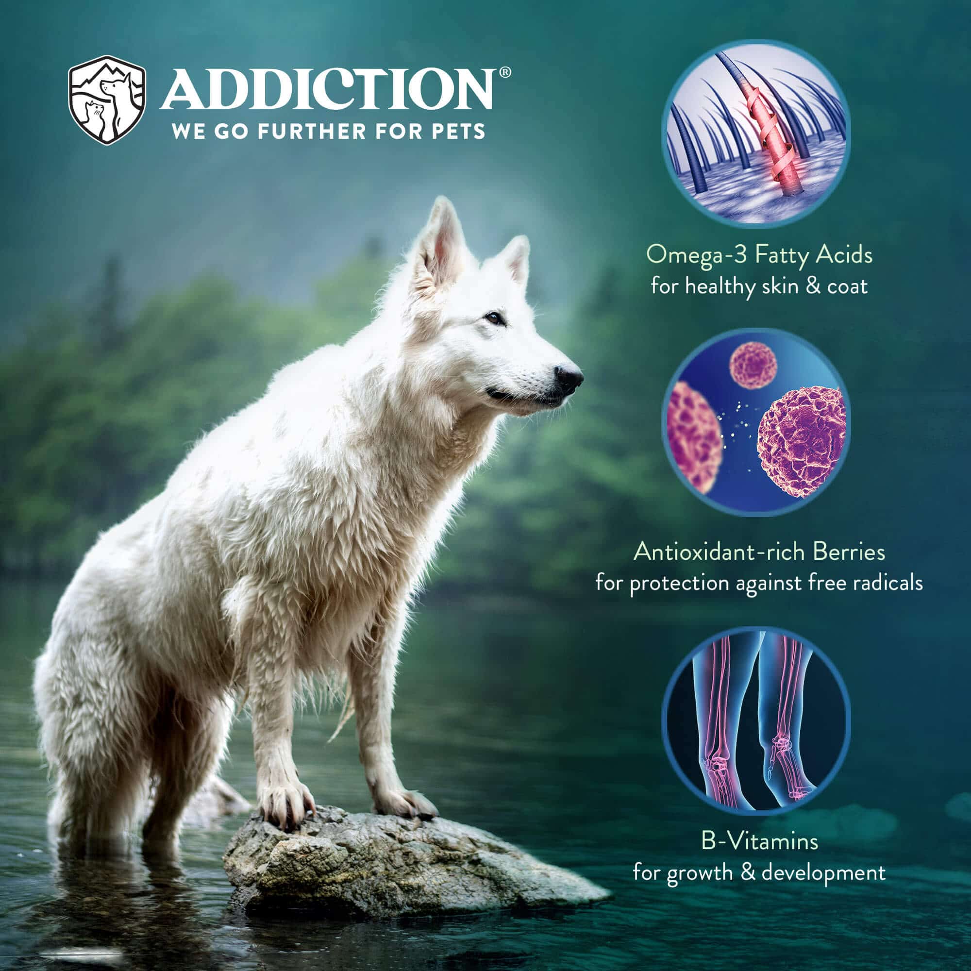 Mega | Addiction Pet