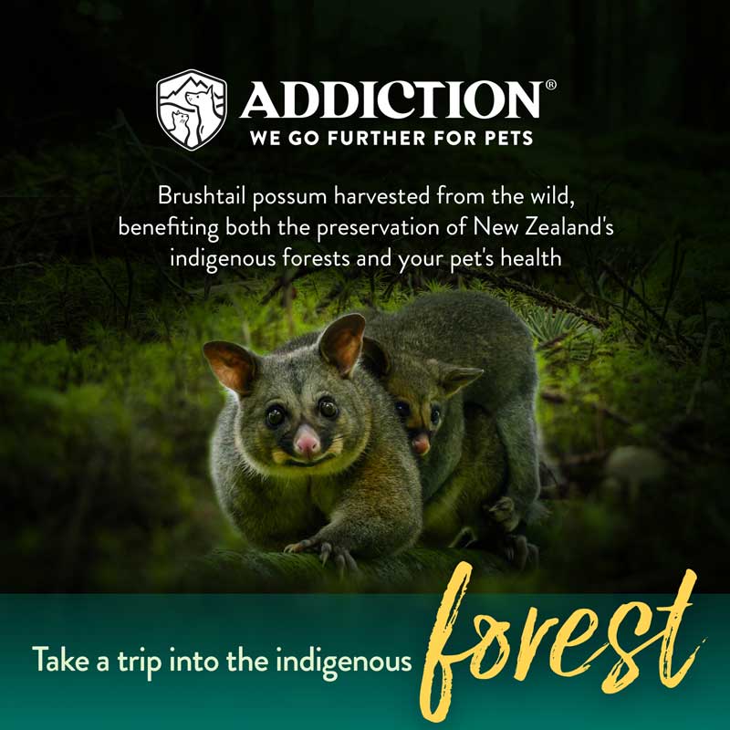 Food Perfect Summer Brushtail | Addiction Pet